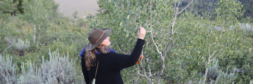 Adrienne Adar Makes the Trees Speak - Live Taos